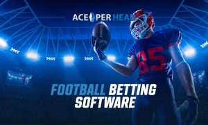 7 Features Football Betting Software | As Low As $3/head | NFL Bookies
