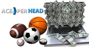 Reputable & Experienced Pay Per Head Site, Professional Bookie Service
