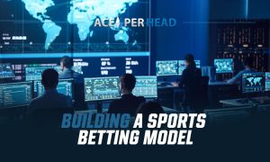 How to Build a Sports Betting Model? As Low as $3 Service for Bookies