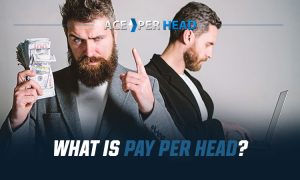 What is Pay Per Head Sportsbook Service? | PPH Bookie Software $3/Head
