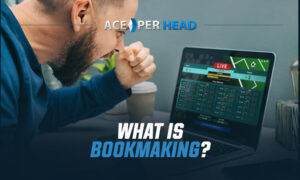 What Is Bookmaking? | 6-week Free Bookmaker Software | Your Online Job