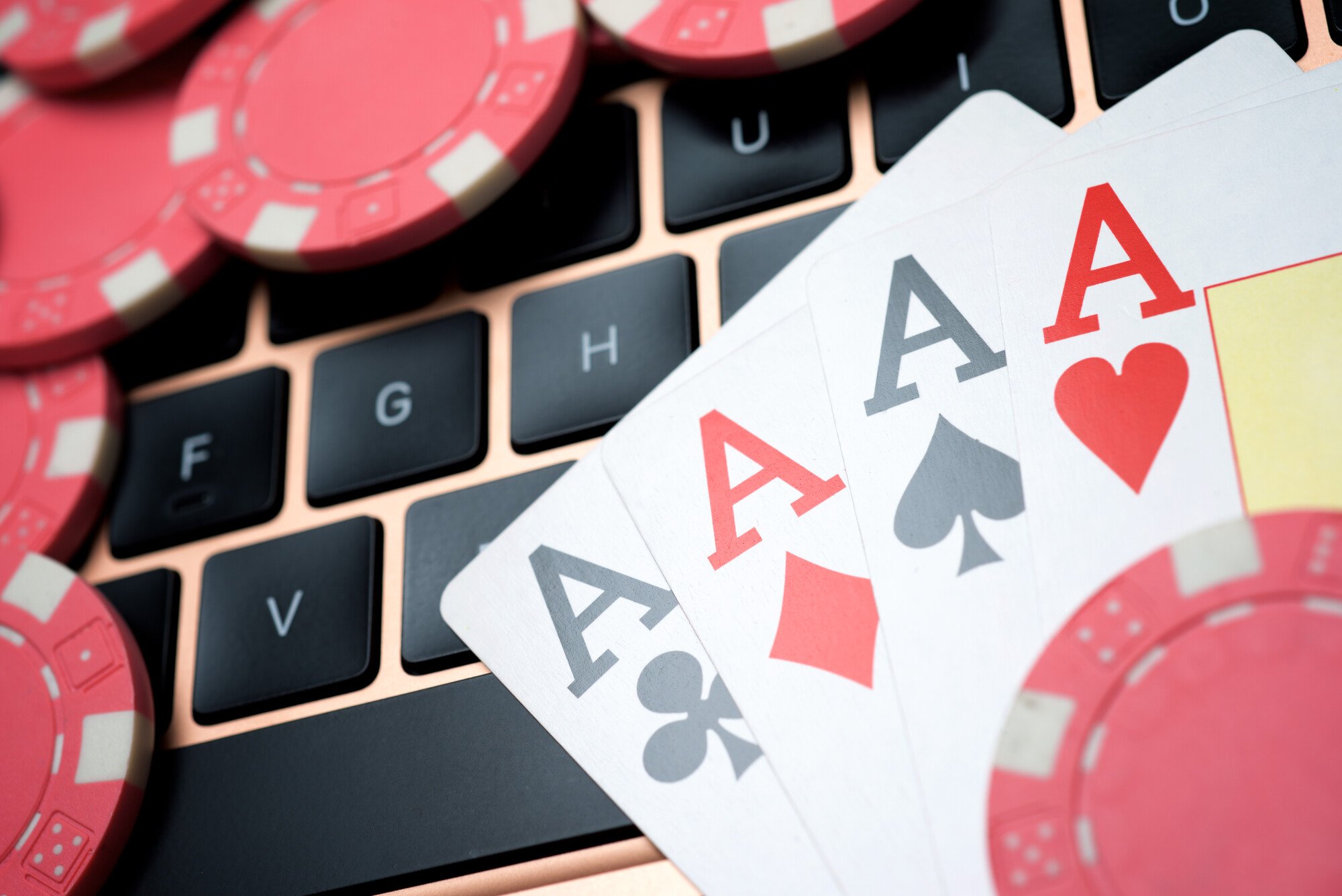 Casino Risk Management System | Start a Gambling Business As Low As $3
